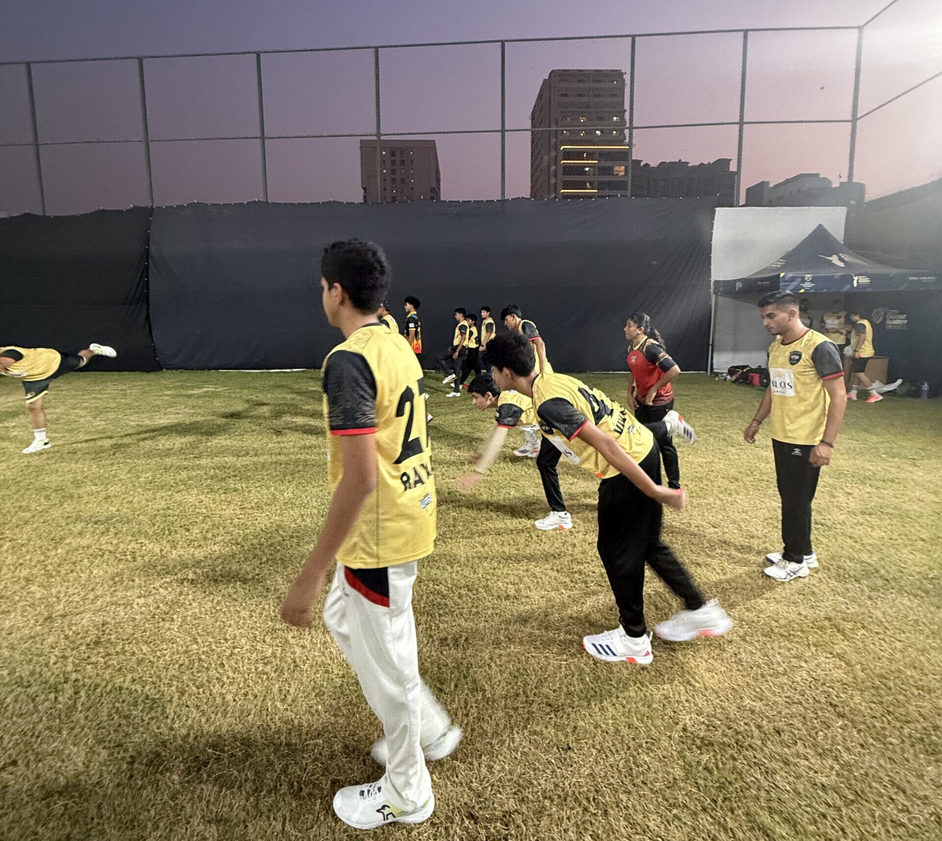 Desert Vipers Talent Pathway launches - Desert Vipers